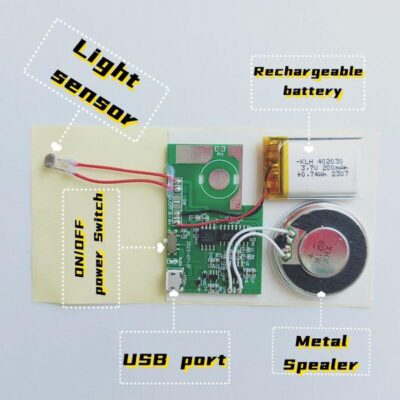 DIY USB Recordable Voice Chip Sound Module For Custom Gifts - Funsuper