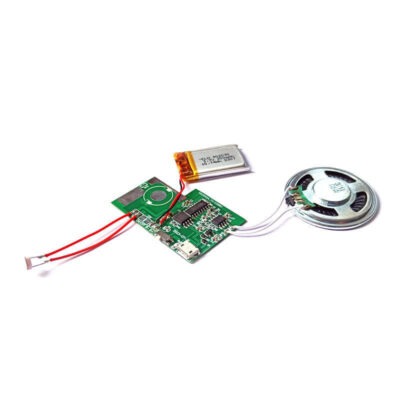 DIY USB Recordable Voice Chip Sound Module For Custom Gifts - Funsuper